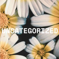 The Ocean – UNCATEGORIZED